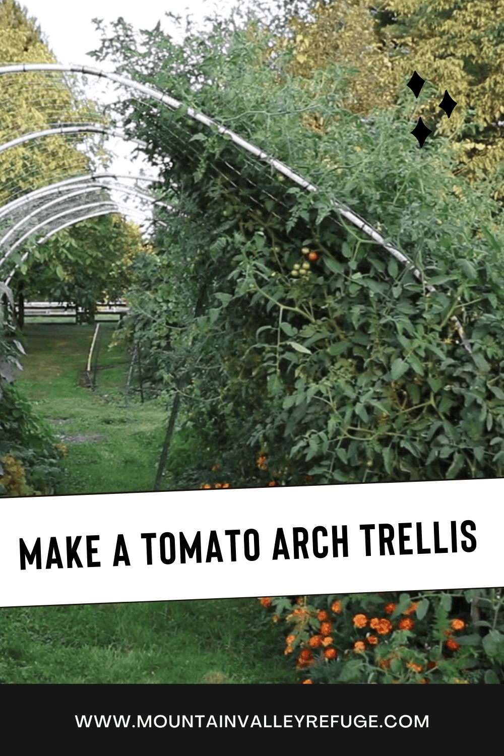 Create a tomato arch trellis, and you will score a bounty of fruit ...