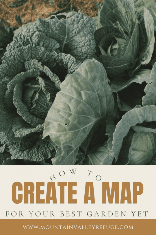 Garden Plan 103: Map the best vibrant productive garden